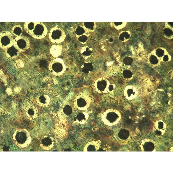 KameraM ASTM A247 Dökme Demir Analizi - Mikrosistem Laboratuvar Cihazları